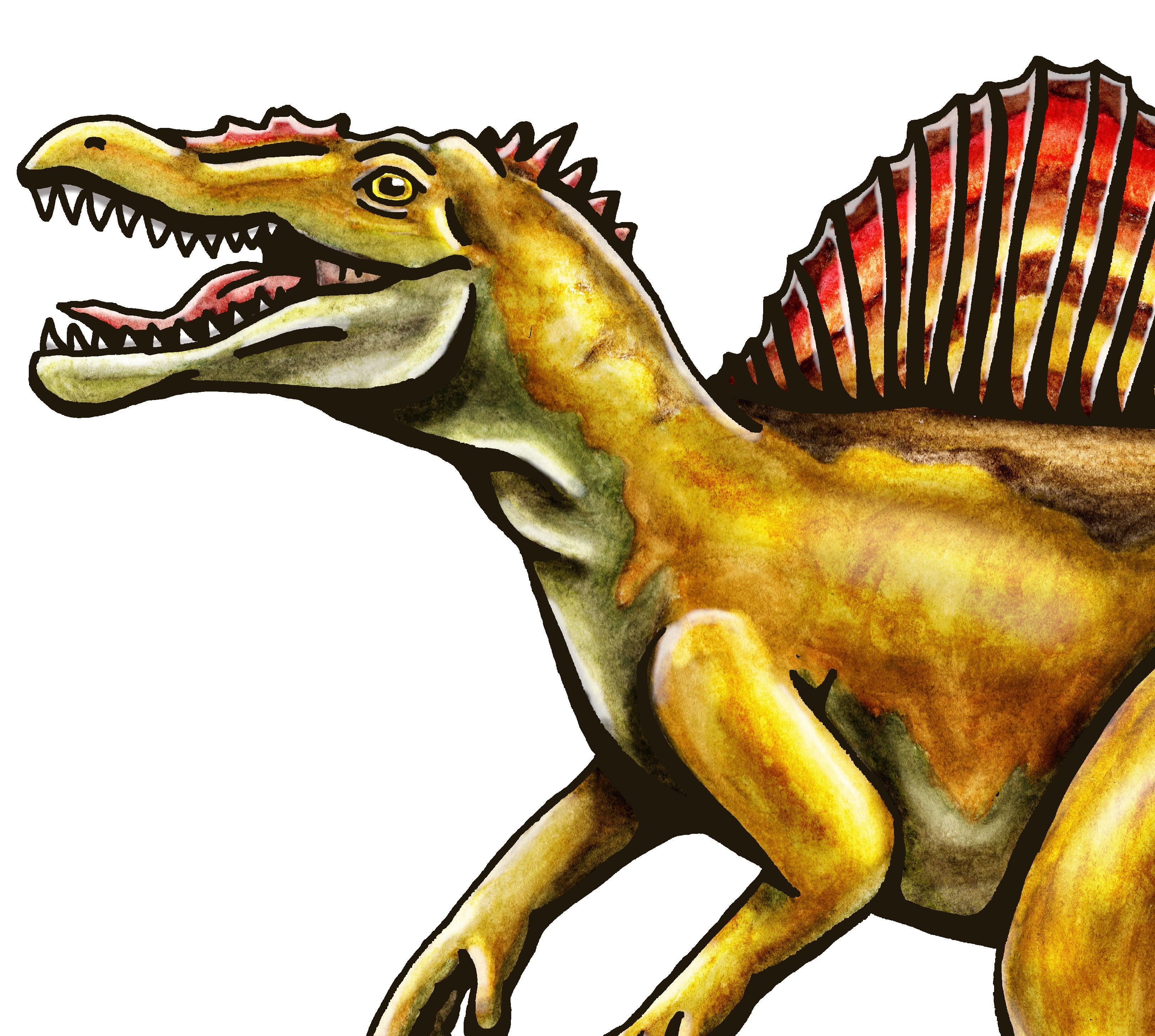 All Prehistoric Products – Dream Raven Designs